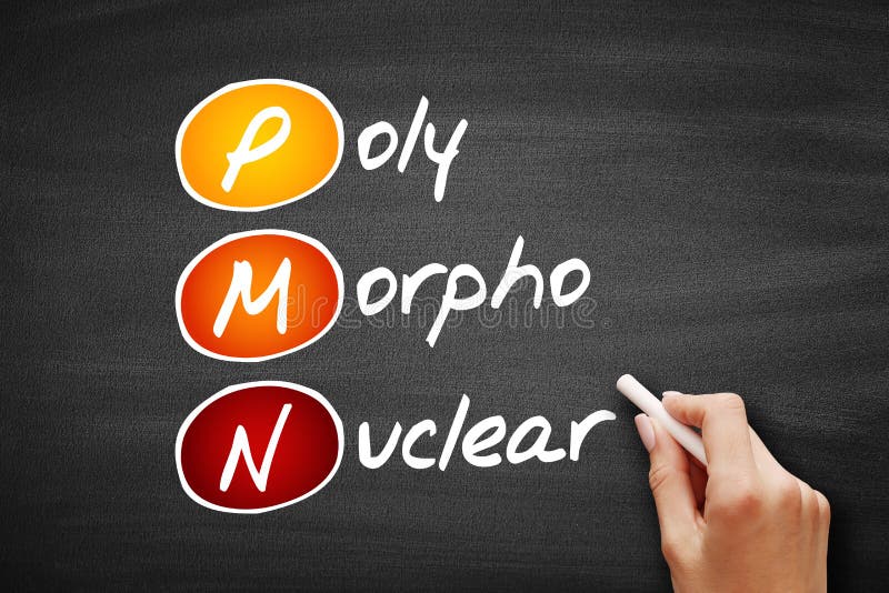 PMN - PolyMorphoNuclear Acronym, Concept on Blackboard Stock Photo ...