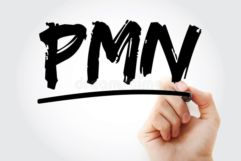 PMN - PolyMorphoNuclear Acronym with Marker, Concept Background Stock ...
