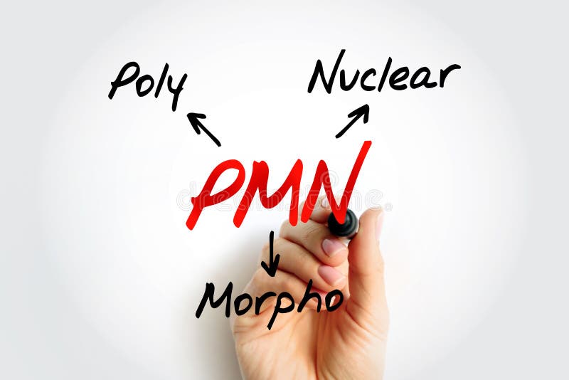 Mononuclear Cells Stock Photos - Free & Royalty-Free Stock Photos from ...