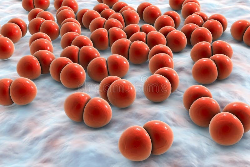 Pneumococchi Dei Batteri, Streptococcus Pneumoniae Illustrazione di ...