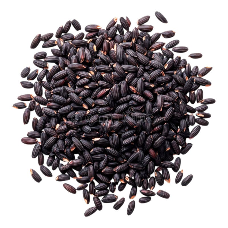 PNG Black Rice Grains Against Transparent Background Stock Illustration ...