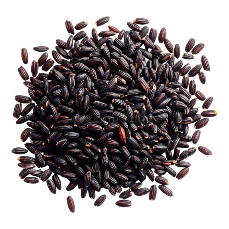 PNG Black Rice Grains Against Transparent Background Stock Illustration ...
