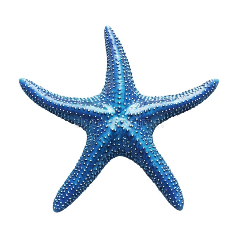PNG Blue Starfish on Transparent Background - Ai Generated Stock ...