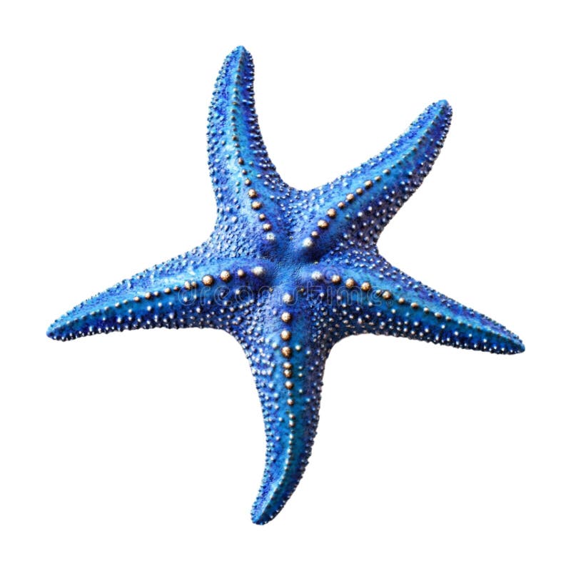 PNG Blue Starfish on Transparent Background - Ai Generated Stock ...