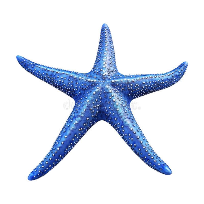 PNG Blue Starfish on Transparent Background - Ai Generated Stock ...