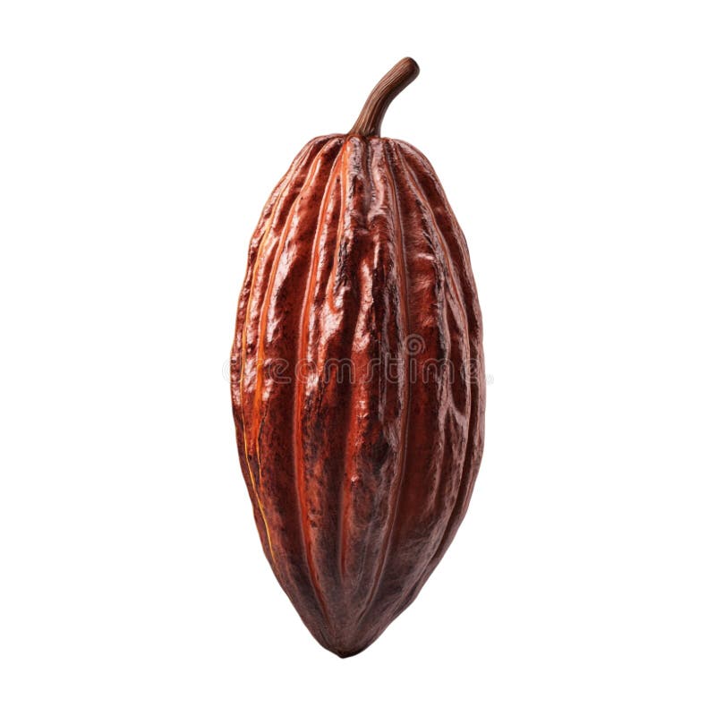 PNG Cocoa Pod on Transparent Background - Ai Generated Stock ...