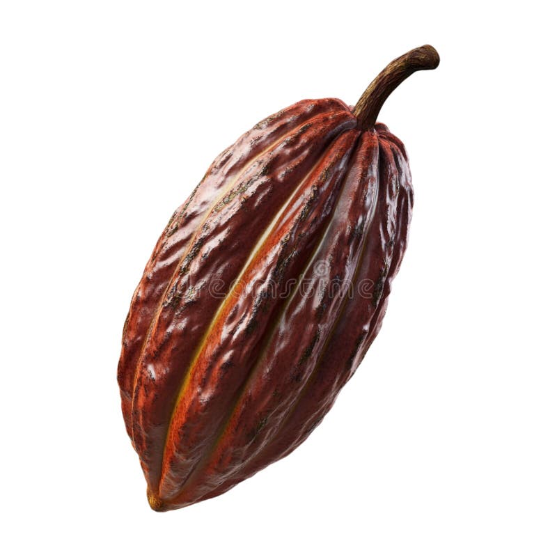 PNG Cocoa Pod on Transparent Background - Ai Generated Stock ...