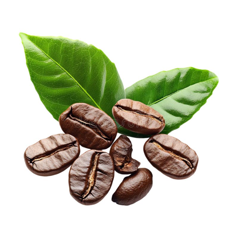 PNG Coffee Beans with Leaf on Transparent Background - Ai Generated ...