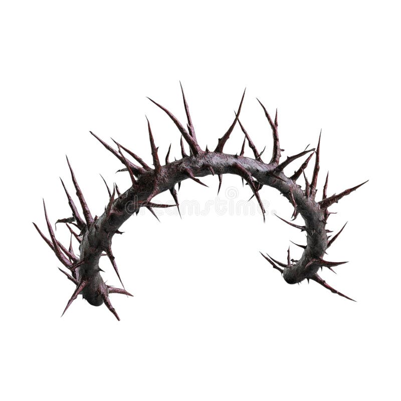 PNG Crown of Thorns Worn on Transparent Background - Ai Generated Stock ...