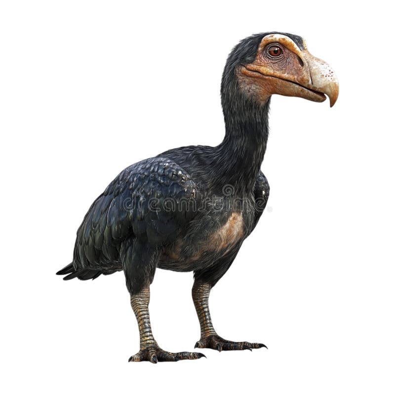 PNG Dodo Bird on Transparent Background - Ai Generated Stock ...