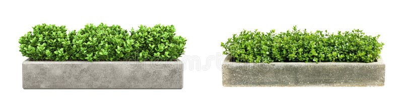 Rectangular Concrete Planters Stock Illustrations – 17 Rectangular ...