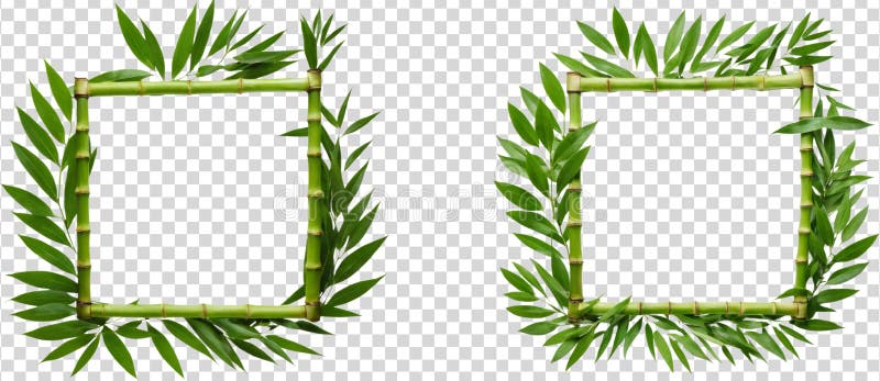 Cutout of Two Bamboo Frames with Green Leaves Stock Illustration ...