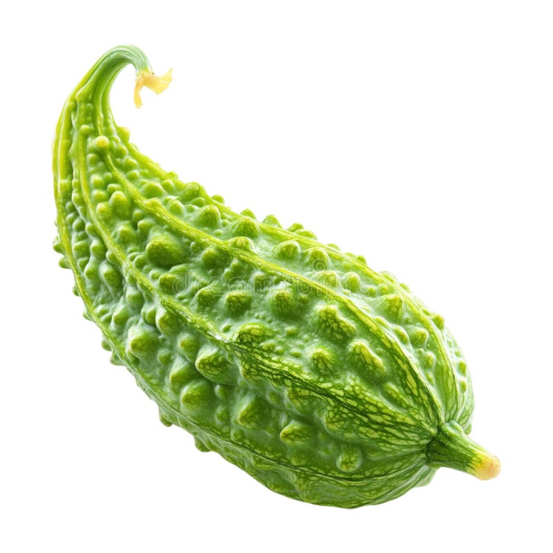 PNG Fresh Bitter Gourd on Transparent Background - Ai Generated Stock ...
