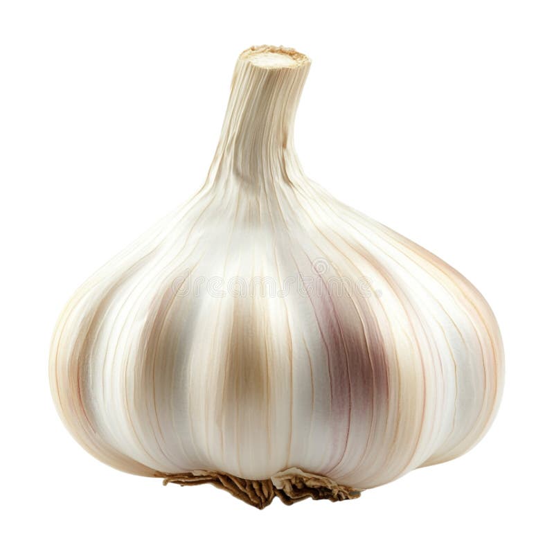 PNG Garlic on Transparent Background - Ai Generated Stock Illustration ...