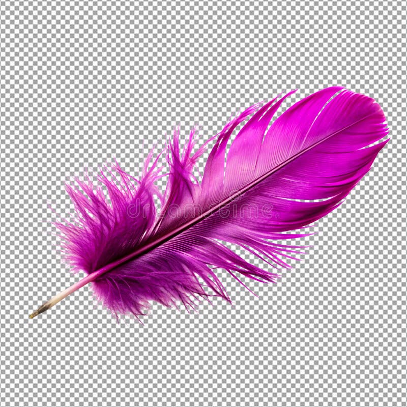 PNG a Lightweight Purple Feather Stock Photo - Illustration of purple ...