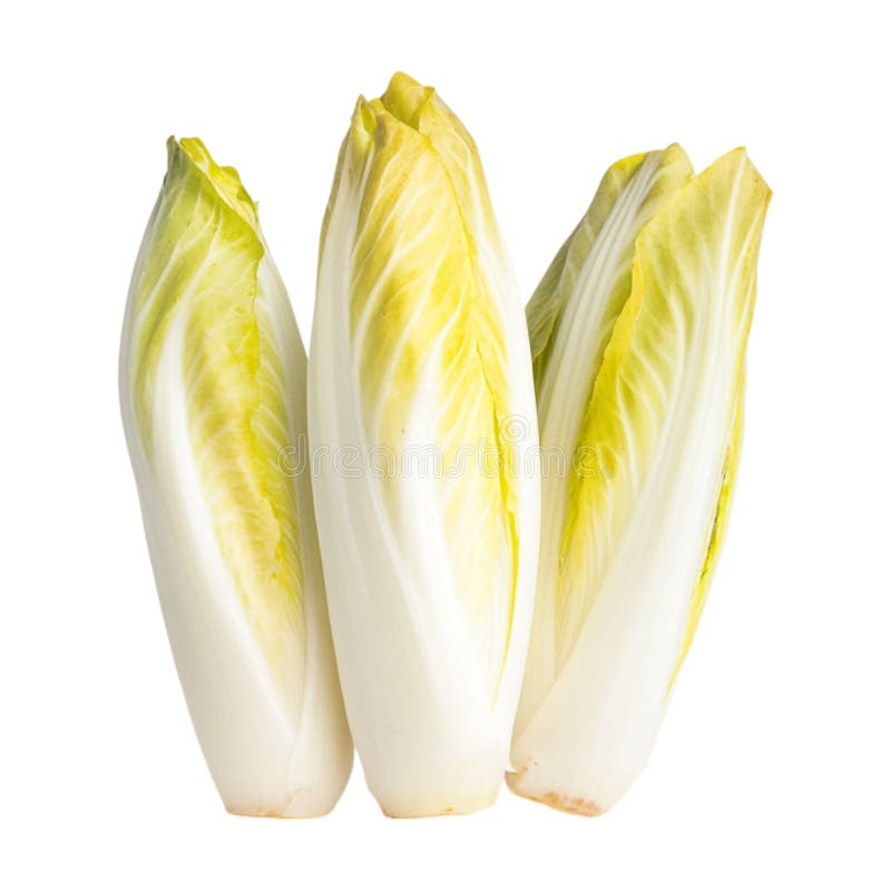 PNG Raw Organic Belgian Endive on Transparent Background - Ai Generated ...