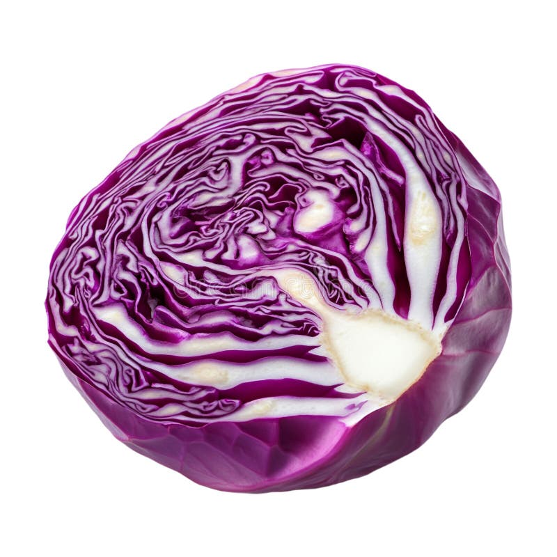 PNG Red Cabbage Slice on Transparent Background - Ai Generated Stock ...