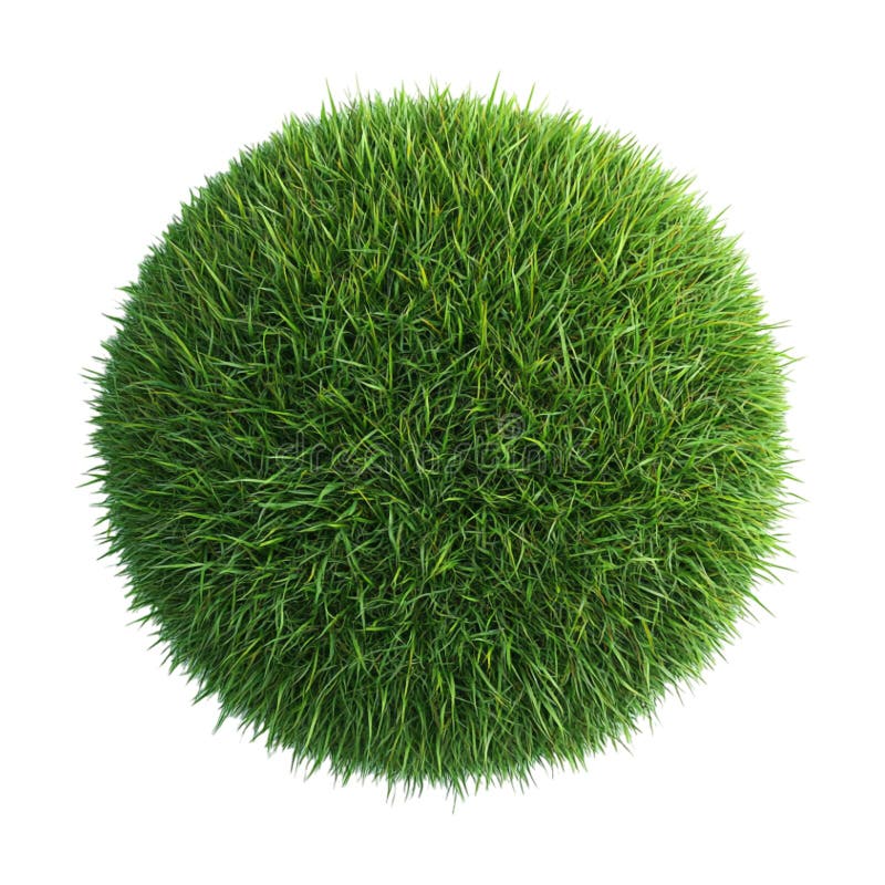 PNG Round Grass Piece on Transparent Background - Ai Generated Stock ...