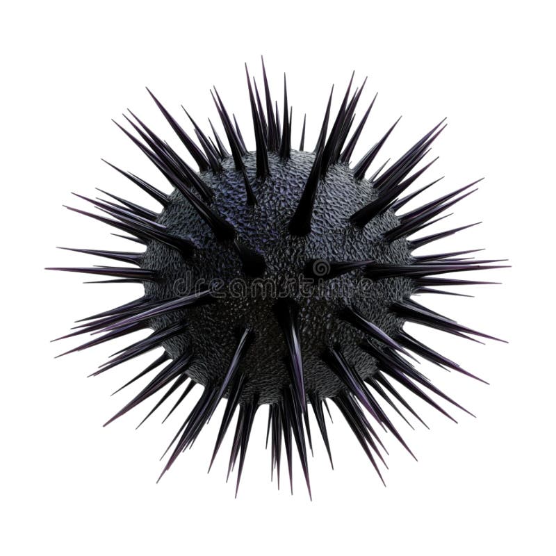 PNG Sea Urchin on Transparent Background - Ai Generated Stock ...
