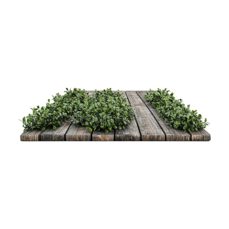 PNG Shrub Tree Footer Border on Transparent Background - Ai Generated ...