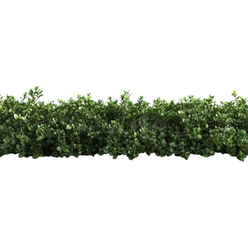 PNG Shrub Tree Footer Border on Transparent Background - Ai Generated ...