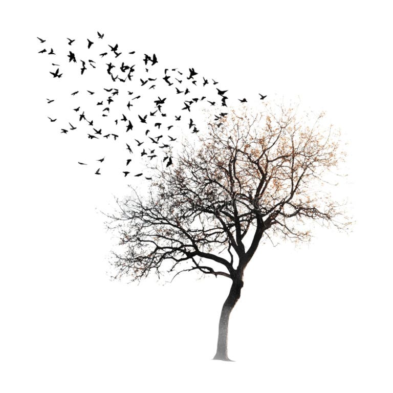 PNG Small Tree on Grass Mound on Transparent Background Stock ...