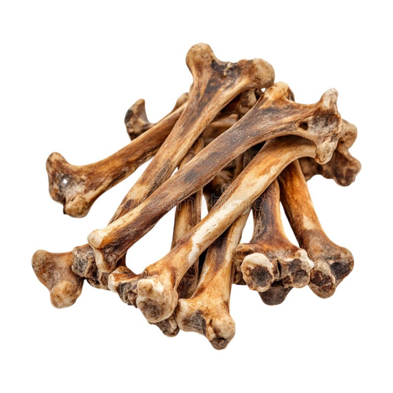 PNG Stack of Dog Bones on Transparent Background - Ai Generated Stock ...