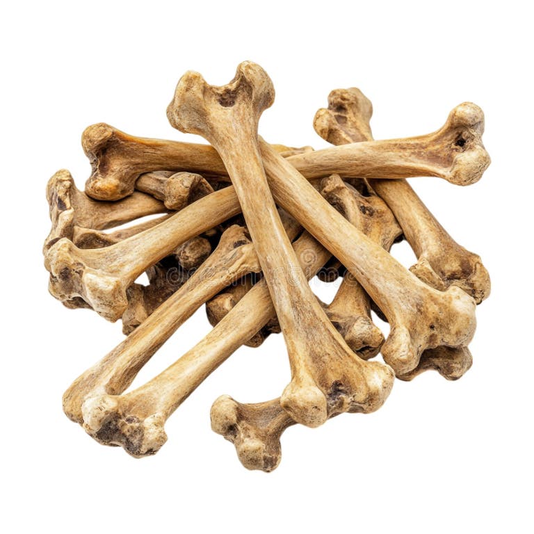 PNG Stack of Dog Bones on Transparent Background - Ai Generated Stock ...