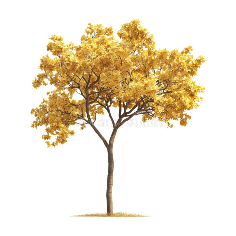 PNG Yellow Fall Season Tree on Transparent Background - Ai Generated ...