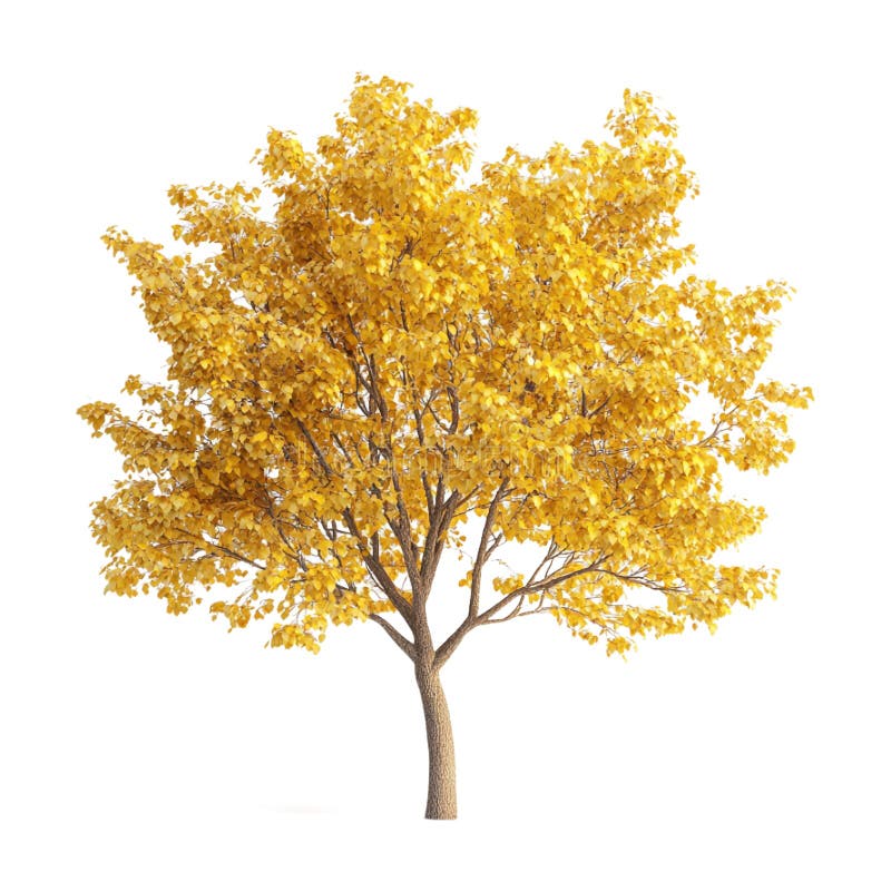 PNG Yellow Fall Season Tree on Transparent Background - Ai Generated ...