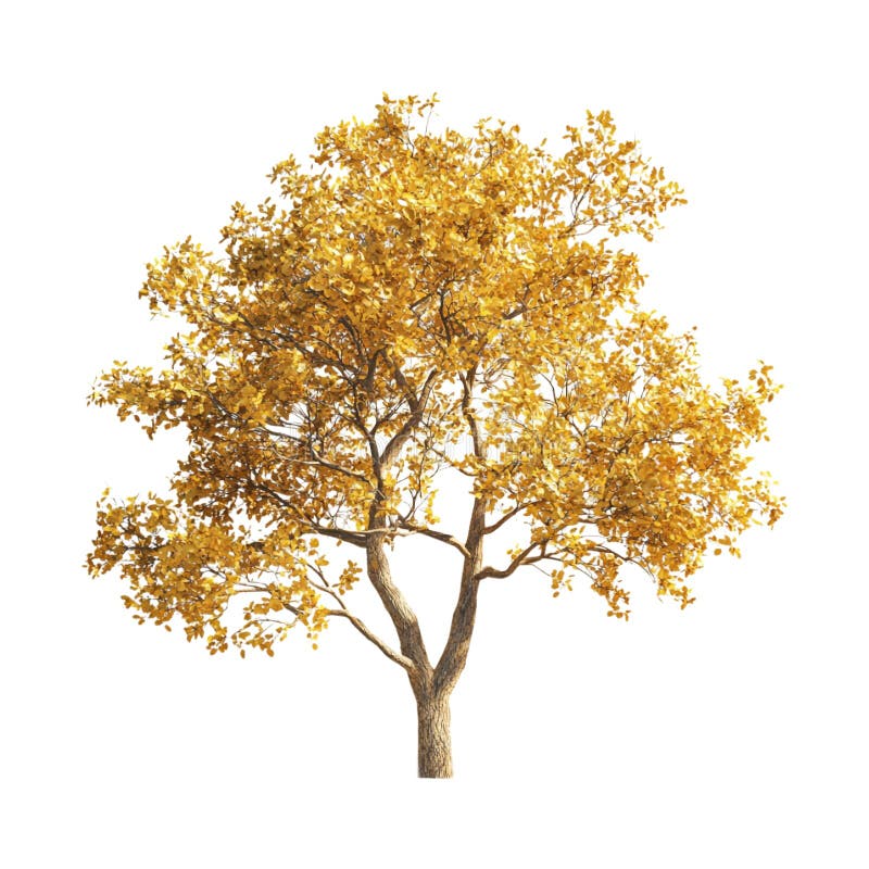 PNG Yellow Fall Season Tree on Transparent Background - Ai Generated ...