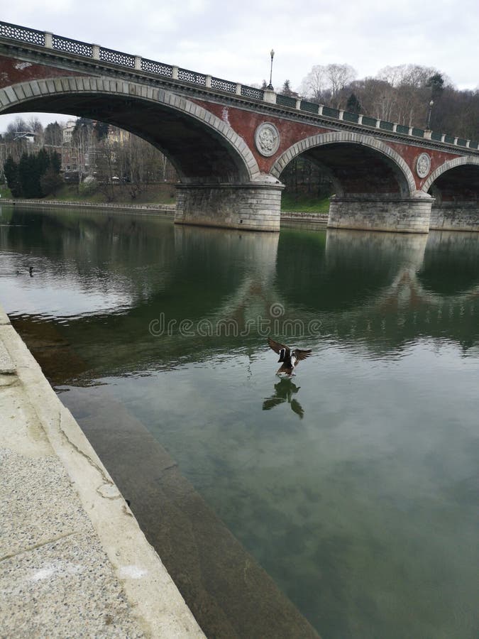 Po river in Turin stock photo. Image of river, alps - 192027396