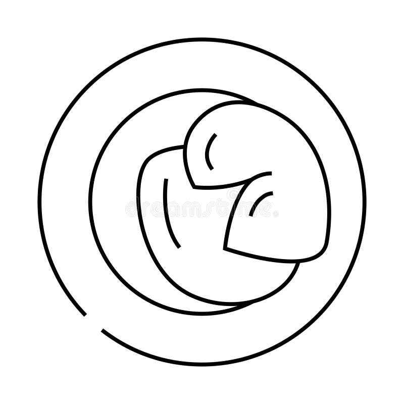 Poached Egg Line Icon Vector Illustration Stock Vector Illustration Of Cooking Fresh 331802539