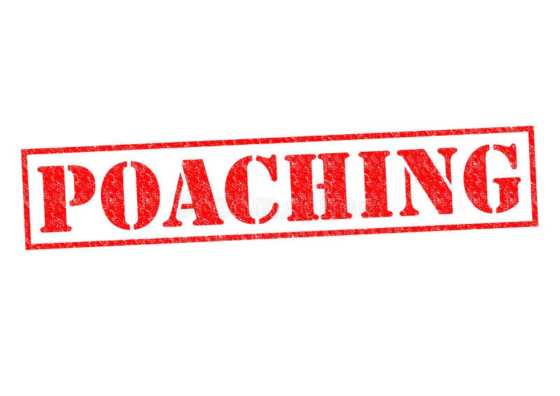 No poaching stock illustration. Illustration of clipart - 102961955