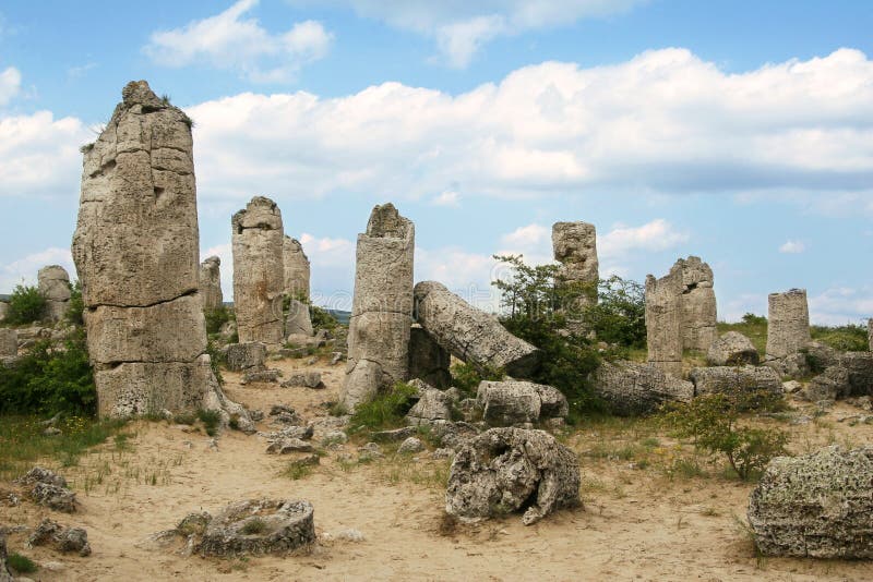 Pobiti Kamani Picture. Image: 5757098