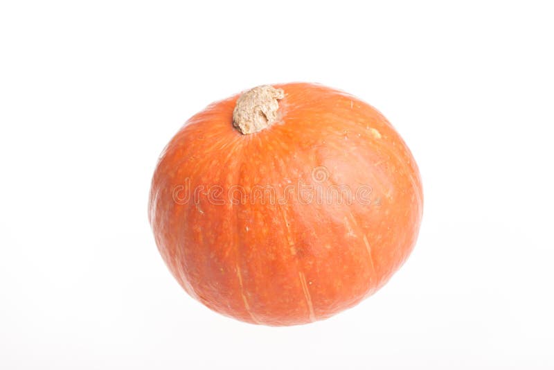 Poca Calabaza Aislada En El Fondo Blanco Foto de archivo - Imagen de ...