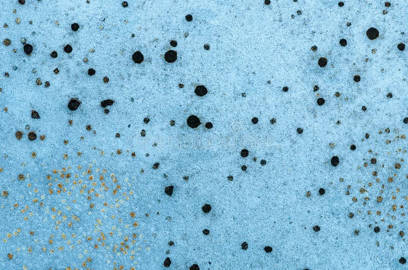 Bernadette Adkins (Bernieadkins) - Photographer profile