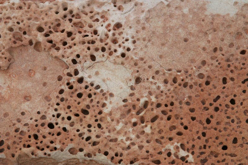 Pocked Rock stock photo. Image of natural, pattern, rock - 44318