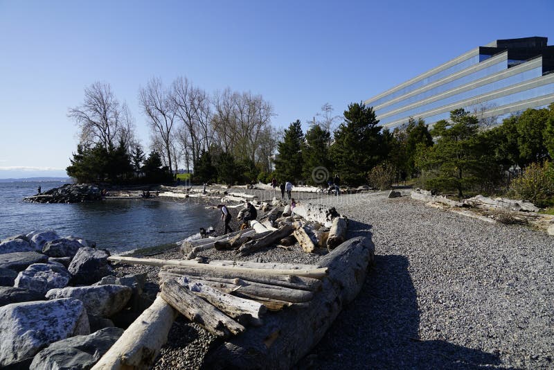 Pocket Beach Seattle Waterfront Editorial Stock Photo - Image of pocket ...