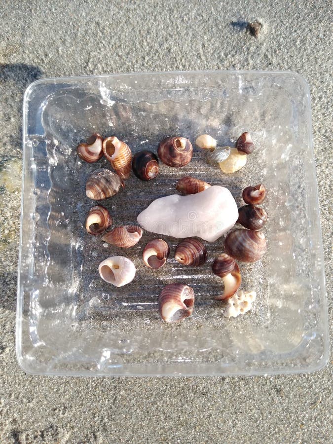 Pocket Full of Brazilian Money Stock Image - Image of currency, label ...