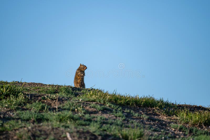 Just Singing - Lips stock image. Image of lipstick, singing - 29033
