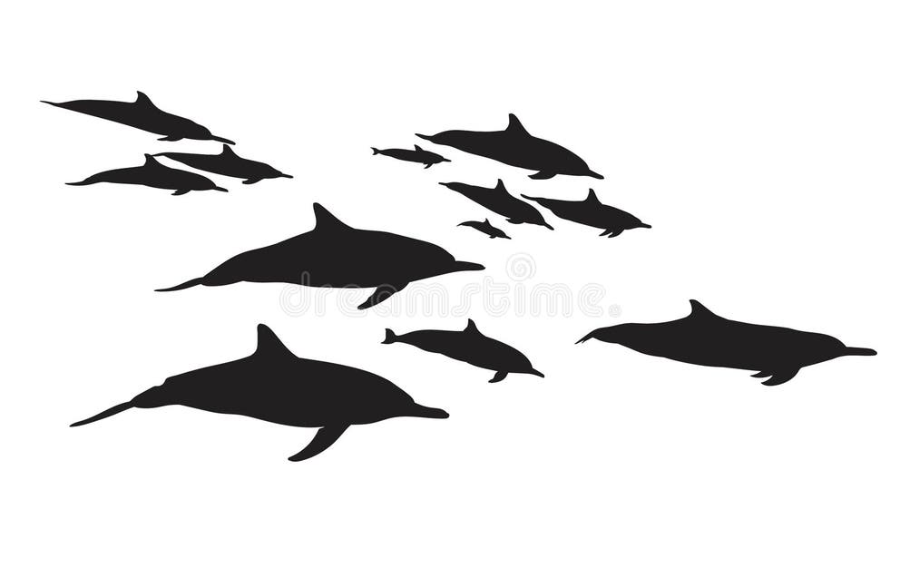 A Pod of Dolphins Silhouette Vector Stock Vector - Illustration of ...