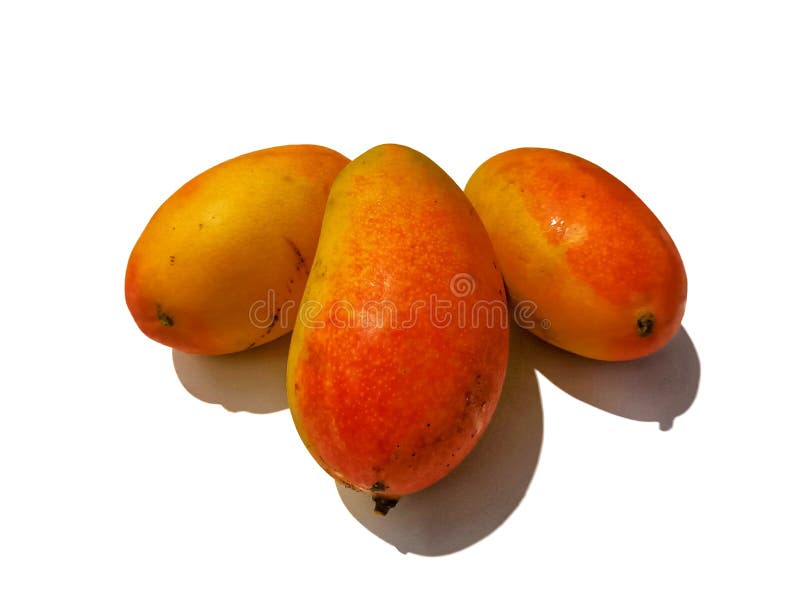 Podang Mango Fruit is Ready To Be Consumed Stock Photo - Image of fresh ...