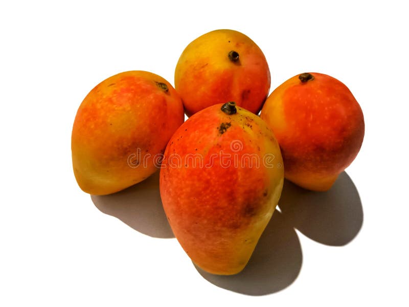 Podang Mango Fruit is Ready To Be Consumed Stock Photo - Image of ...