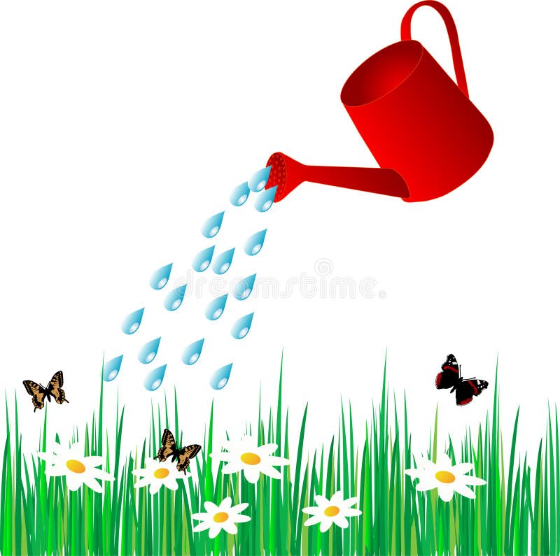 Regadera Vertiendo Agua Aislada Stock de ilustración - Ilustración de ...