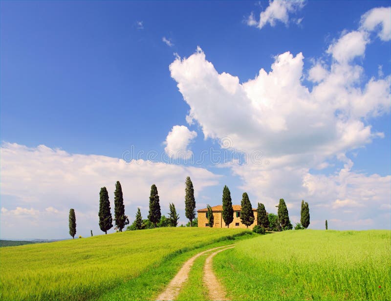 Podere stock photo. Image of farm, italy, tuscany, meadow - 15302066