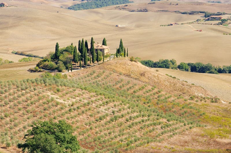 Podere in fall stock photo. Image of hill, rural, podere - 22318498