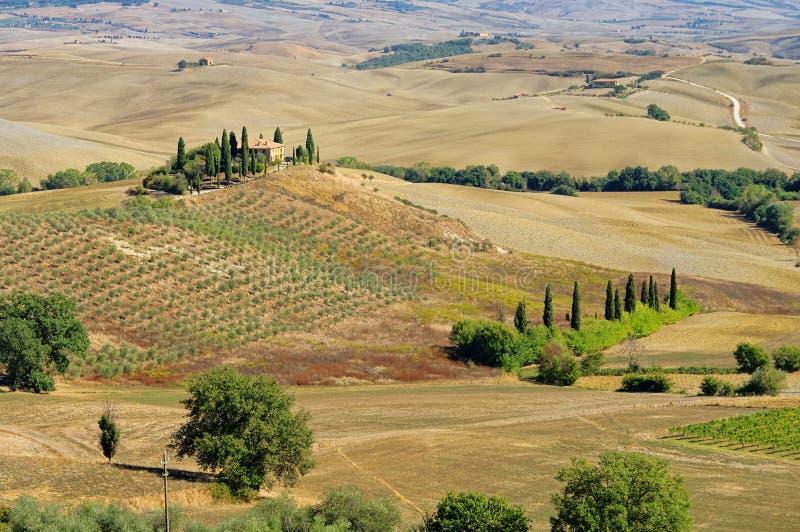 Podere in fall stock photo. Image of grove, autumn, seasonal - 23566018
