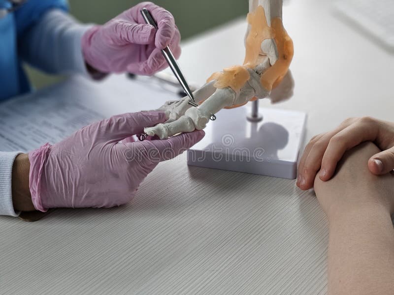 Podiatrist Showing Anatomical Foot Skeleton Model Concept Stock Photo ...
