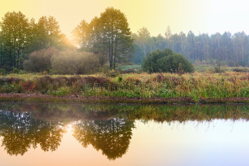 Podlasie stock photo. Image of narwia, poland, podlasie - 137677866